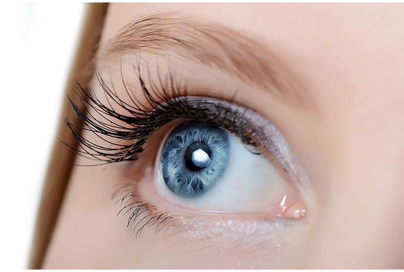 Why Women Prefer Long Eyelashes – Neetu Josh Beauty